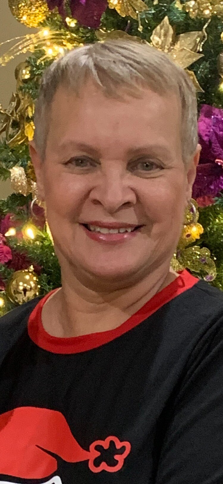 Christine Labat's Instagram, Twitter & Facebook on IDCrawl